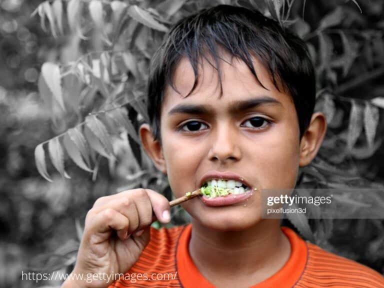 নিম পাতার উপকারিতা ও অপকারিতা ২০২৪ - Sylhetism